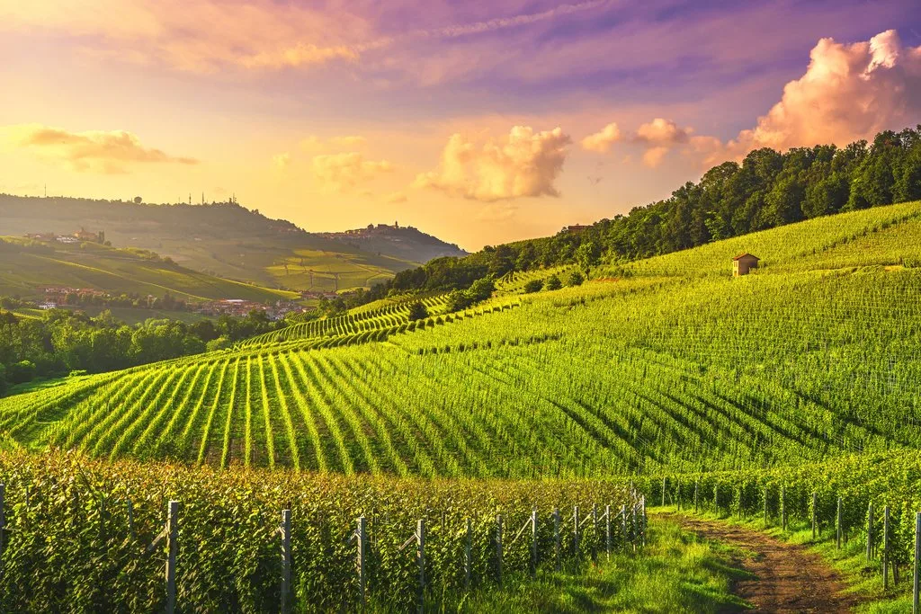 Turfgrass Producers International | The Voice of the Turfgrass Sod Industry